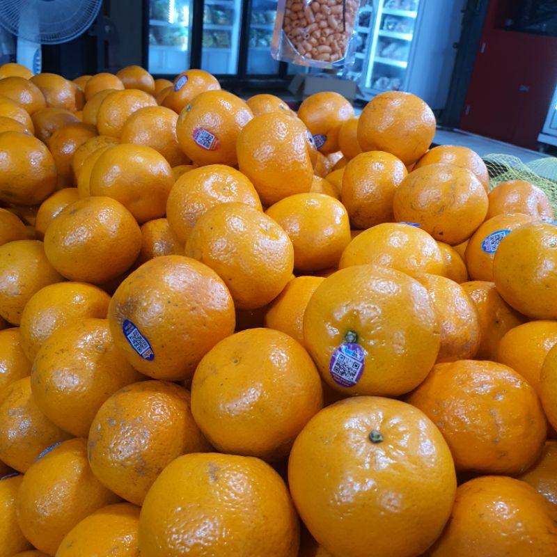 Jual Jeruk Mandarin Kino 1kg | Shopee Indonesia