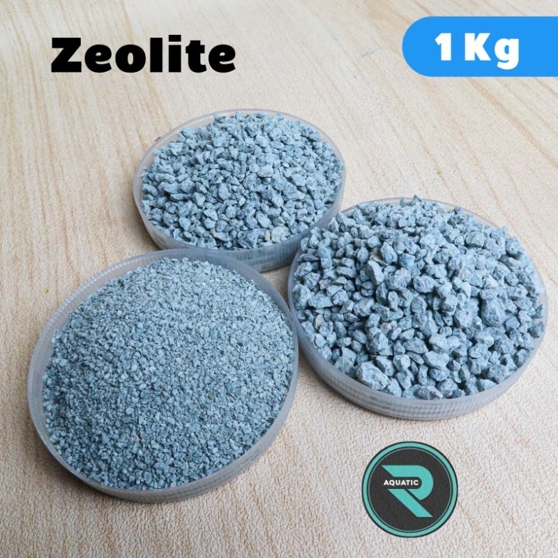 Jual batu zeolite aquarium media Filter 1kg pengilang bau air | Shopee ...
