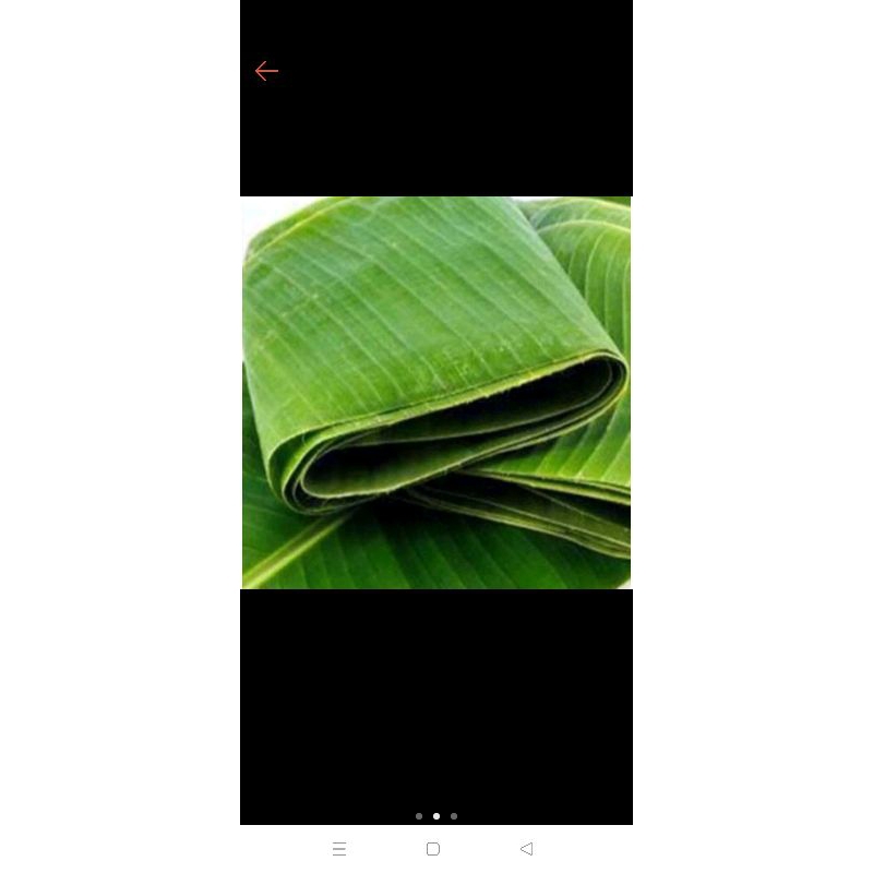 Jual daun pisang 1 kg | Shopee Indonesia