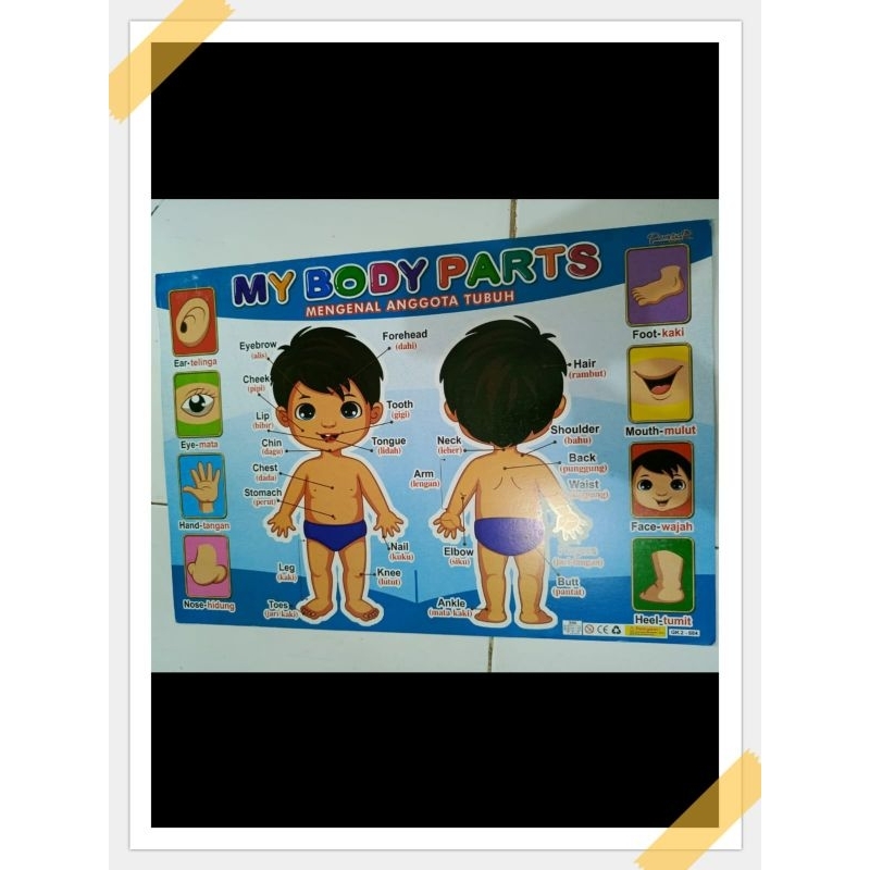 Jual Poster Mengenal Anggota Tubuh | Shopee Indonesia