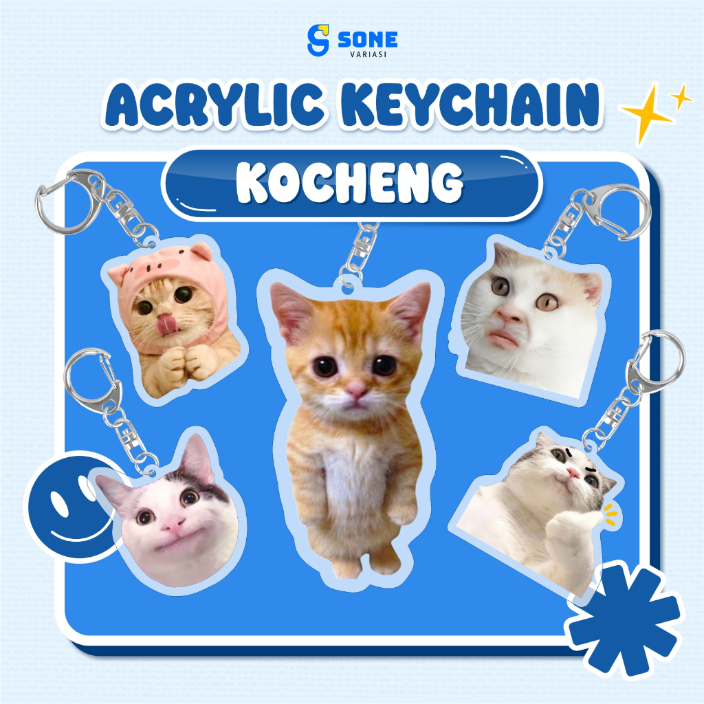Jual Keychain Gantungan Kunci Kucing Meme Akrilik Lucu Unik Aksesoris ...