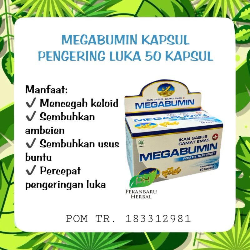 Jual Kapsul MEGABUMIN Ekstrak Ikan Kuthuk Minyak Ikan Kutuk Ekstrak ...
