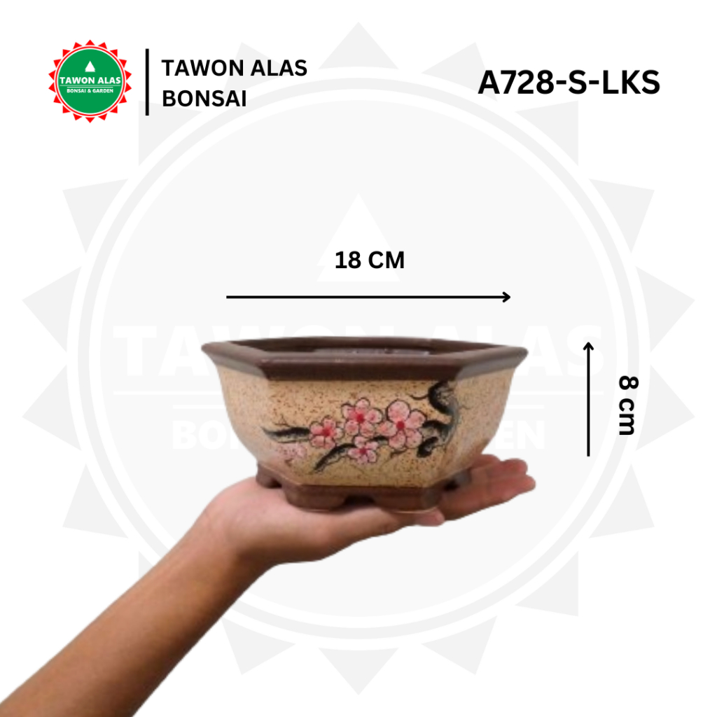 Jual Pot Bonsai Keramik Segi Enam | Shopee Indonesia