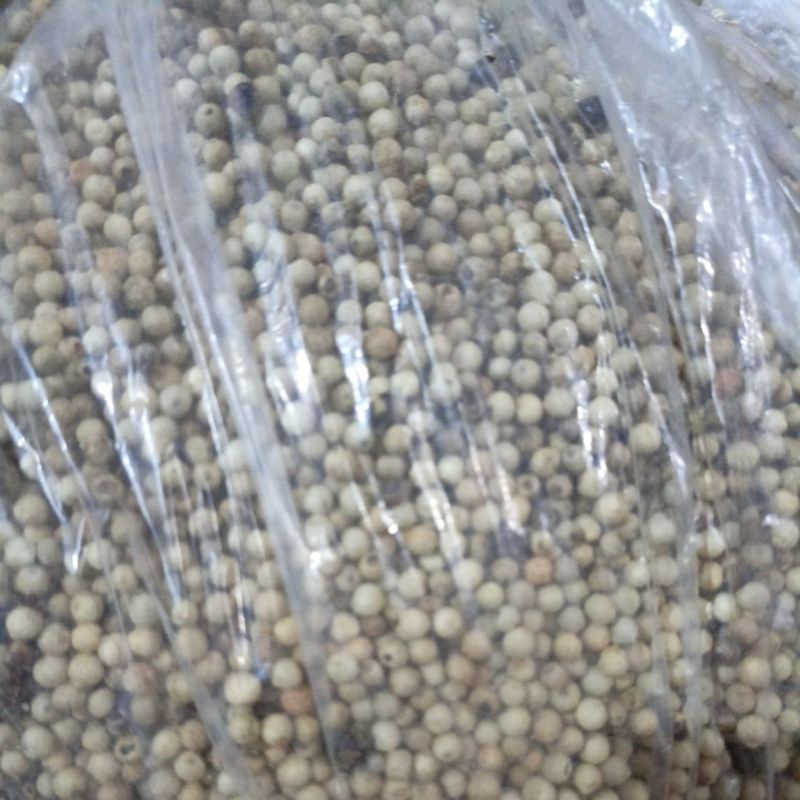 Jual Lada Putih / Lada Putih Butir / Bersih Pilihan / Merica Butir ...