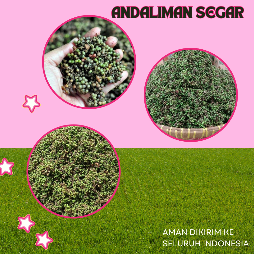 Jual Bumbu Andaliman Khas Sumut Medan Batak Tuba Itir Itir 50gram ...