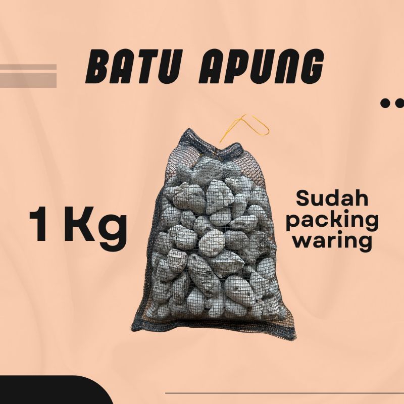 Jual batu apung/pumice/media filter kolam | Shopee Indonesia