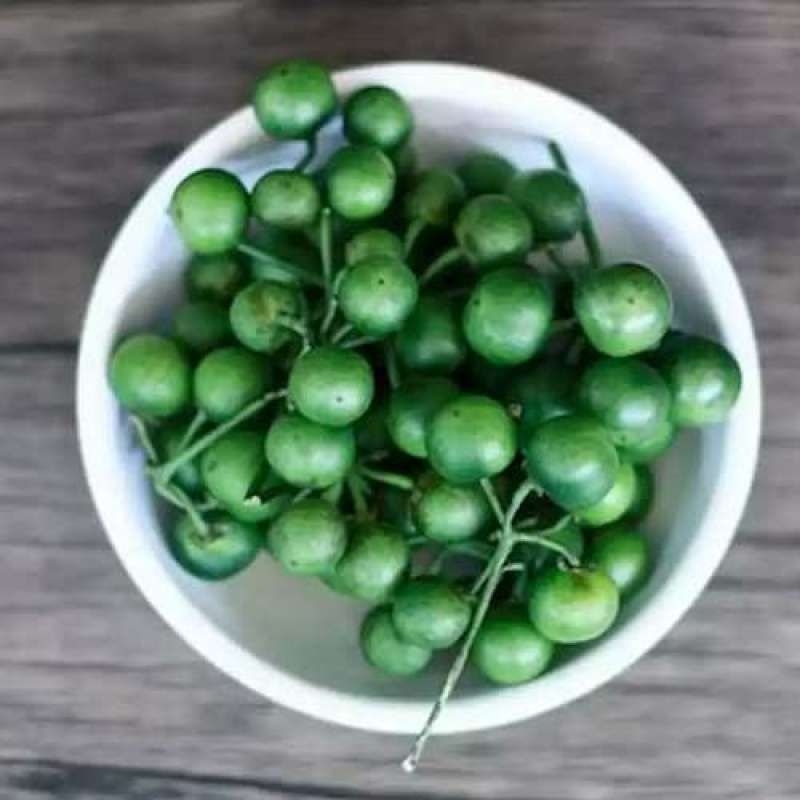 Jual leunca segar freshh 500gr | Shopee Indonesia