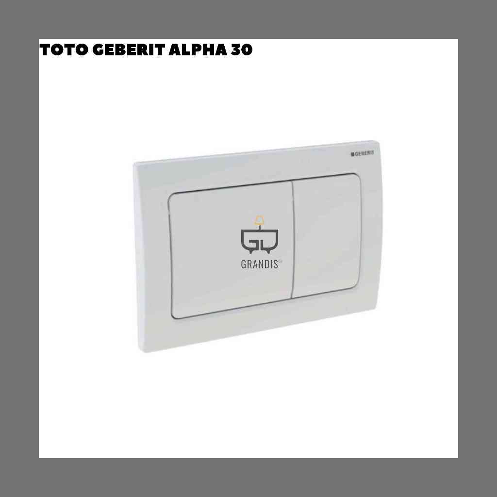 Jual TOTO Geberit Flush Plate 115.055.21.1 Alpha 30 Bright Chrome ...