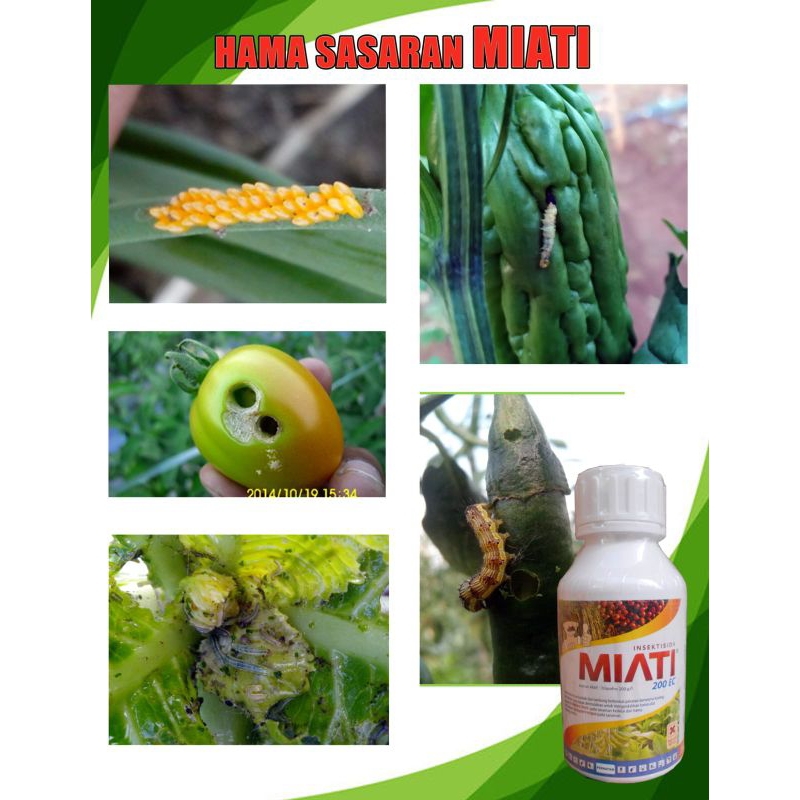 Jual MIATI TRIAZOFOS 200EC 400ml untuk LALAT BUAH ULAT BOR sundep ...