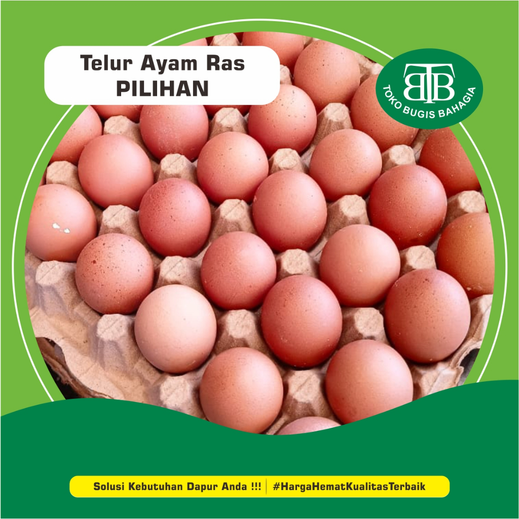 Jual Telur Ayam Ras 1 Rak, Murah Makassar | Shopee Indonesia