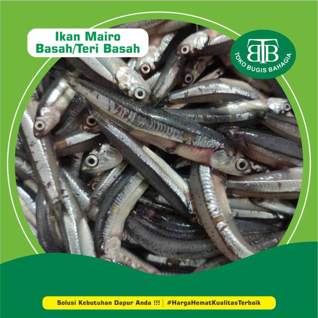 Jual Ikan Mairo/Teri Basah, Murah Makassar Pasar Terong Makassar ...
