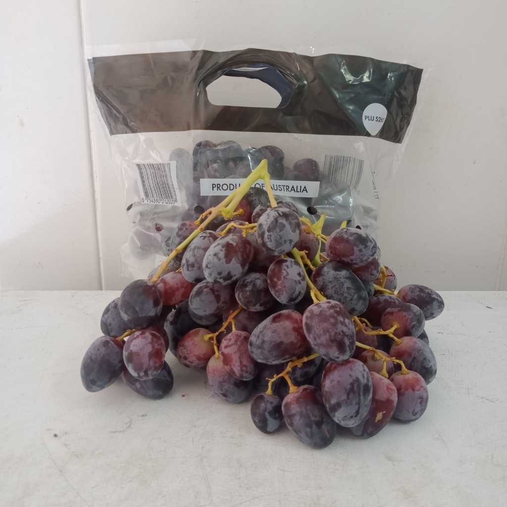 Jual ANGGUR HITAM TANPA BIJI / SEEDLESS BLACK GRAPES | Shopee Indonesia