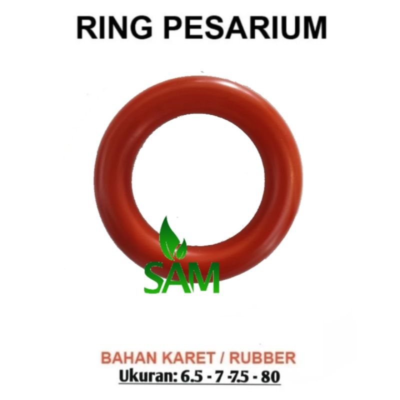Jual Ring pessarium Rabber Ring pessarium Rubber Ring pesarium | Shopee ...
