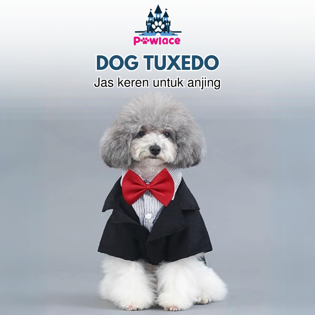 Jual Dog / Cat Tuxedo - Baju Kondangan Jas Kucing dan Anjing - Pet / Dog / Cat Wedding Attire ...