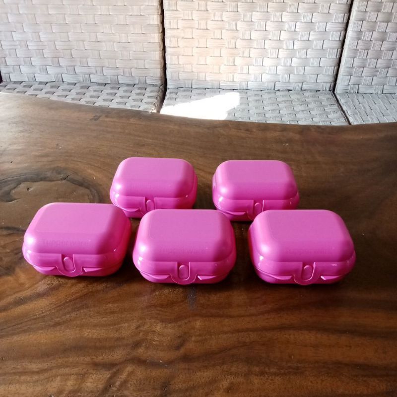 Jual Small box kotak kecil mungil lucu Tupperware | Shopee Indonesia