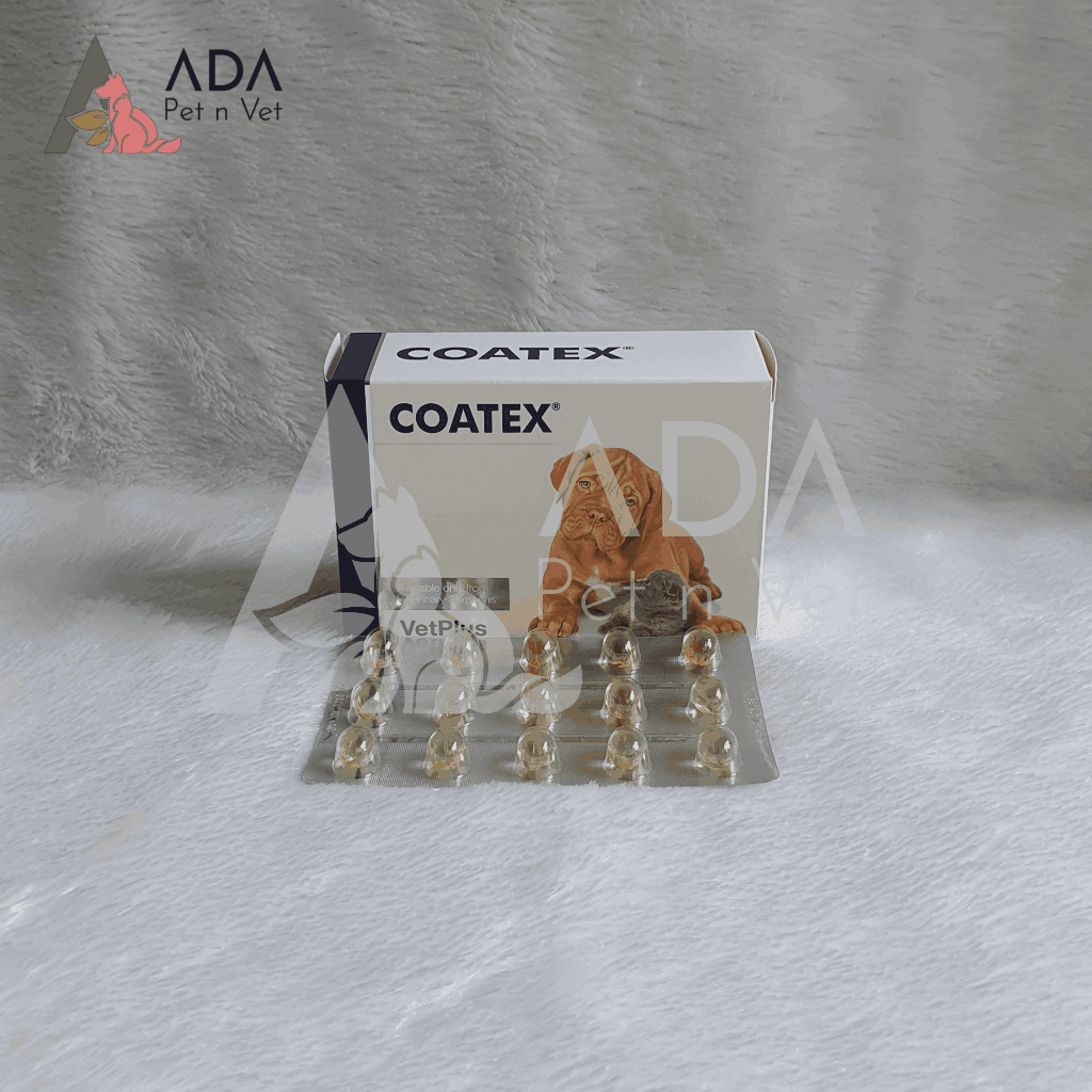 Jual Coatex VetPlus Suplemen Bulu & Kulit Kucing Anjing (Per 1 Soft ...