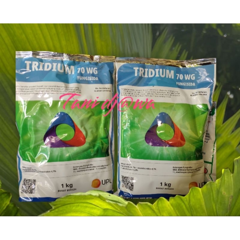 Jual FUNGISIDA TRIDIUM 1kg | Shopee Indonesia