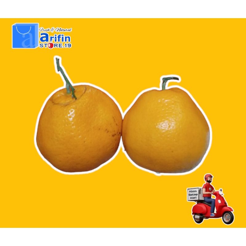 Jual Jeruk Papagan Panda / Jeruk Chunjian RRC / Manis Tanpa Biji (0,95 ...