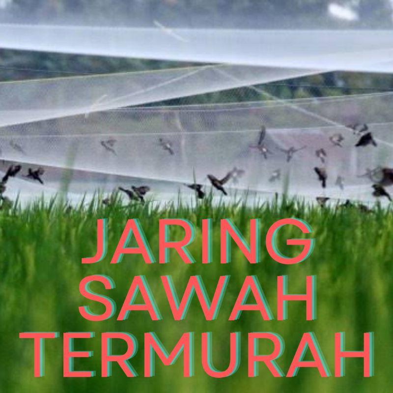 Jual Jaring Burung Pipit Jaring Burung padi Jaring Pertanian Jaring ...