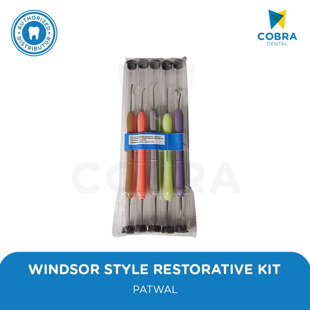 Jual Windsor Style Restorative Kit / Instrument Style Italiano | Shopee ...