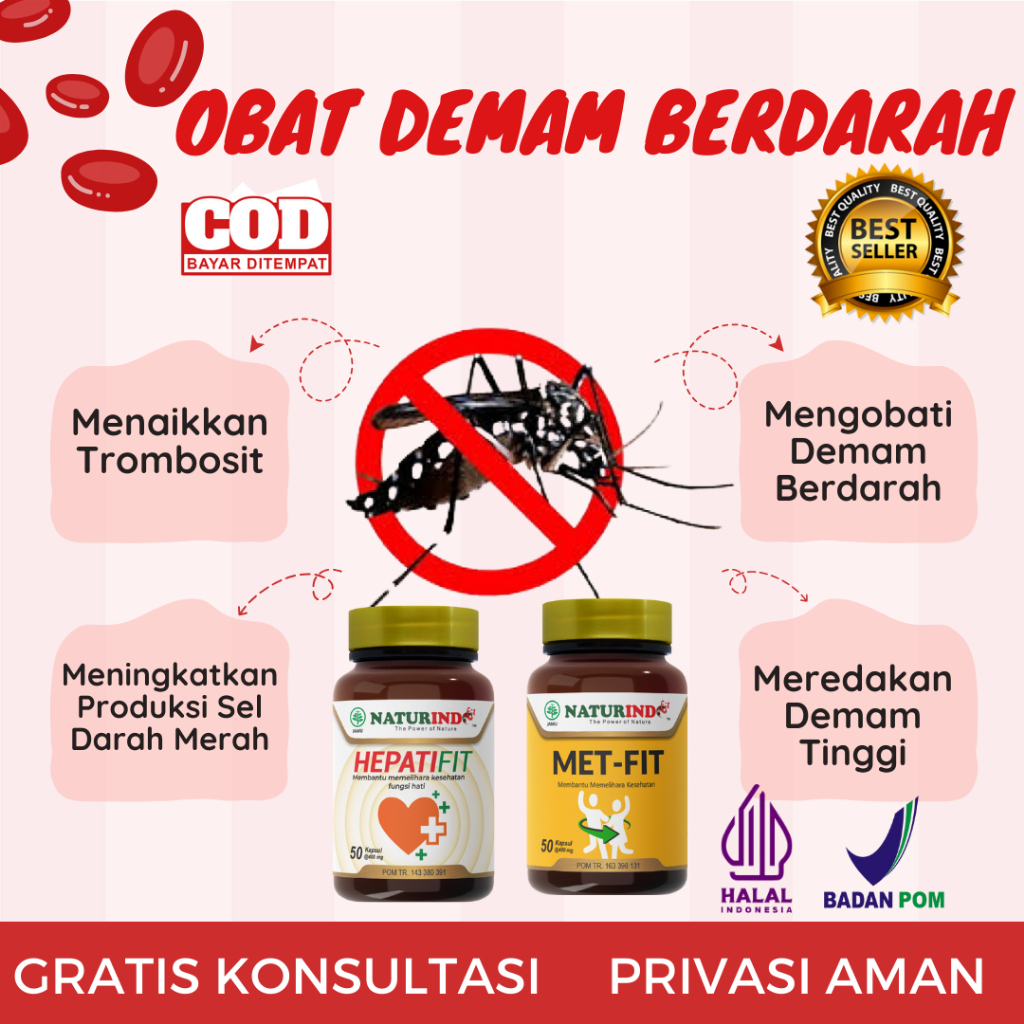 Jual Obat demam berdarah dbd penambah trombosit hemoglobin menaikkan ...
