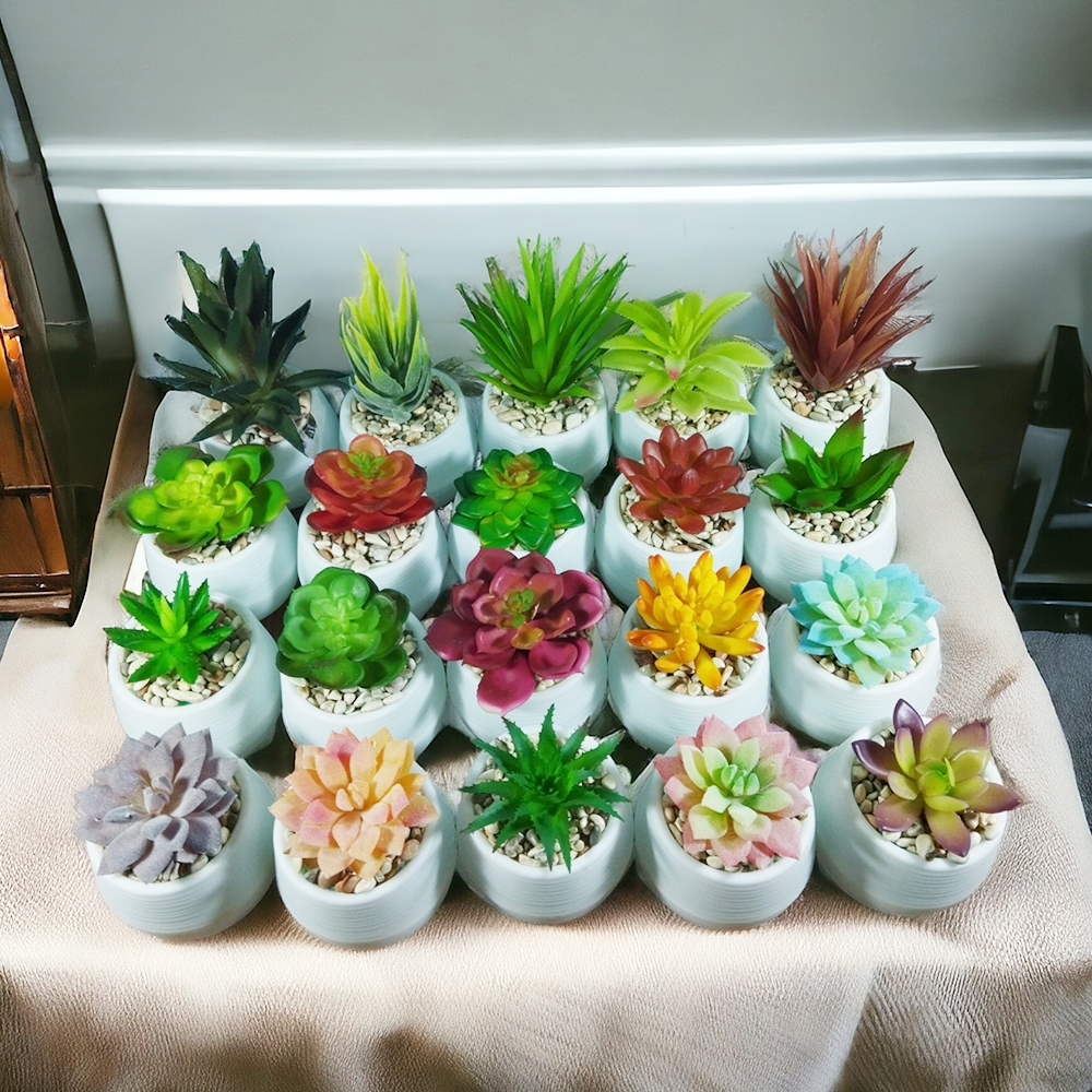 Jual Bunga Kaktus Sukulen Plastik Artificial Cactus Mini Hiasan Rumah ...