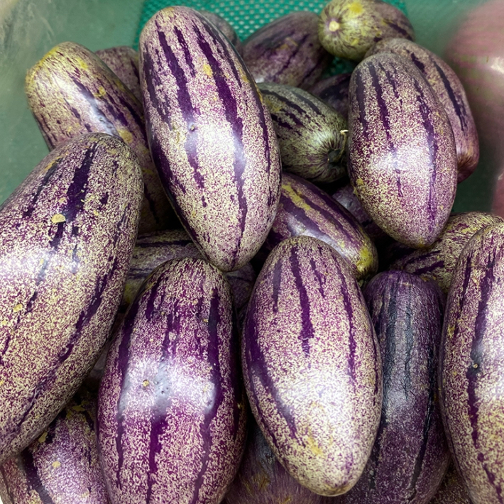 Jual Buah Pepino ungu super 1kg | Shopee Indonesia