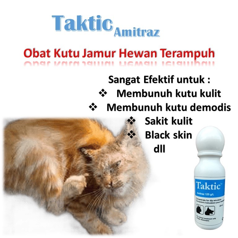 Jual obat kutu kucing/obat kutu anjing/ obat sakit kulit anjing/obat ...