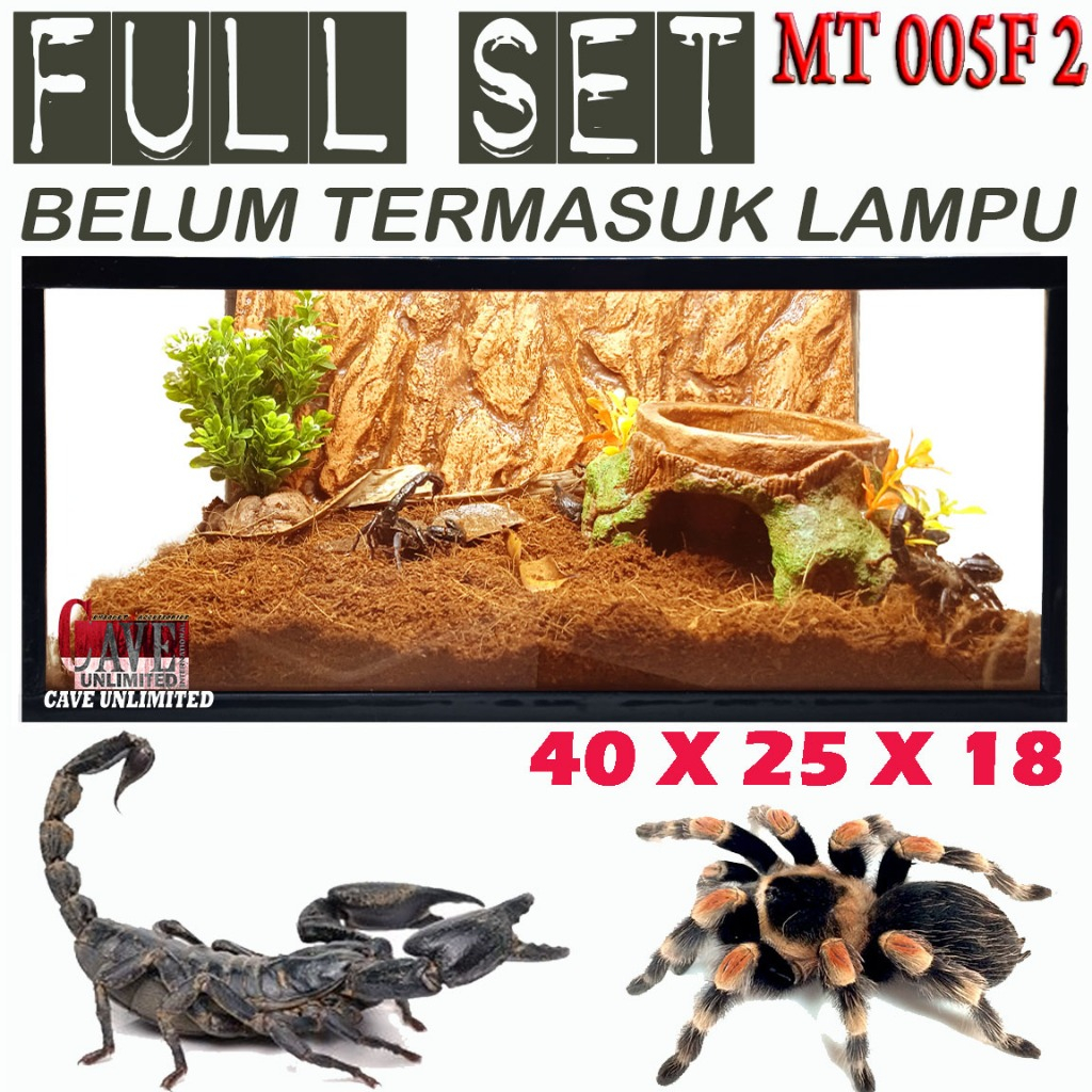 Jual MT005F2 TERRARIUM FULL SET KANDANG HEWAN INSECTA KALAJENGKING KELABANG TARANTULA ENCLOSURE ...