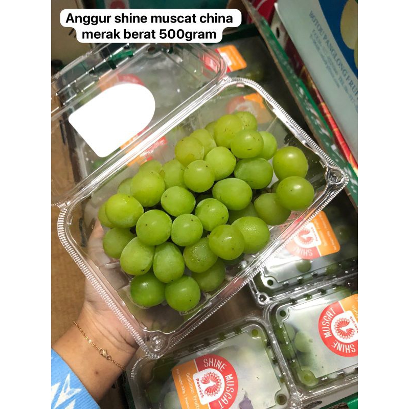 Jual Anggur Shine Muscat China Merak berat 500 grm / pack | Shopee ...