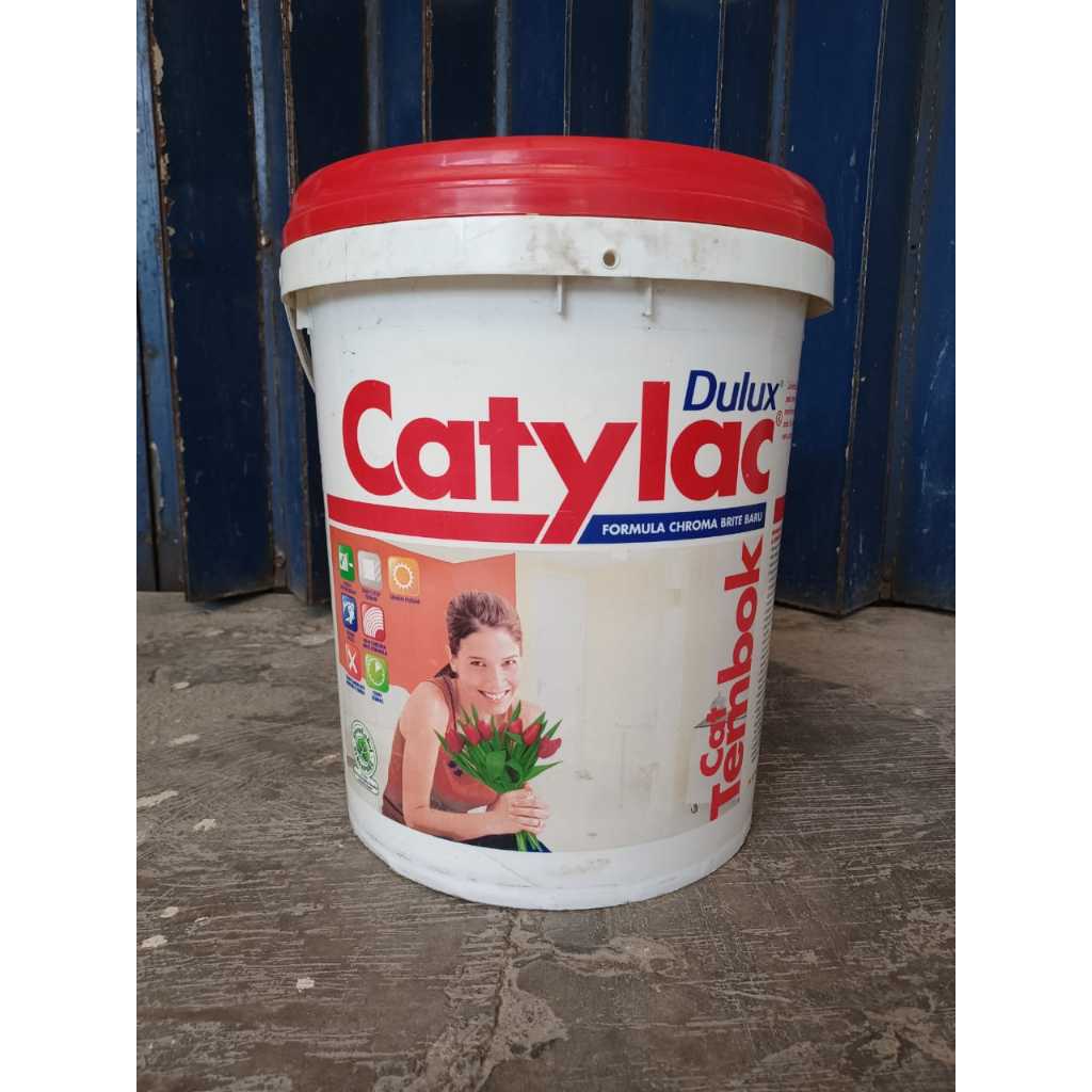 Jual Cat Catylac 25 kg | Shopee Indonesia