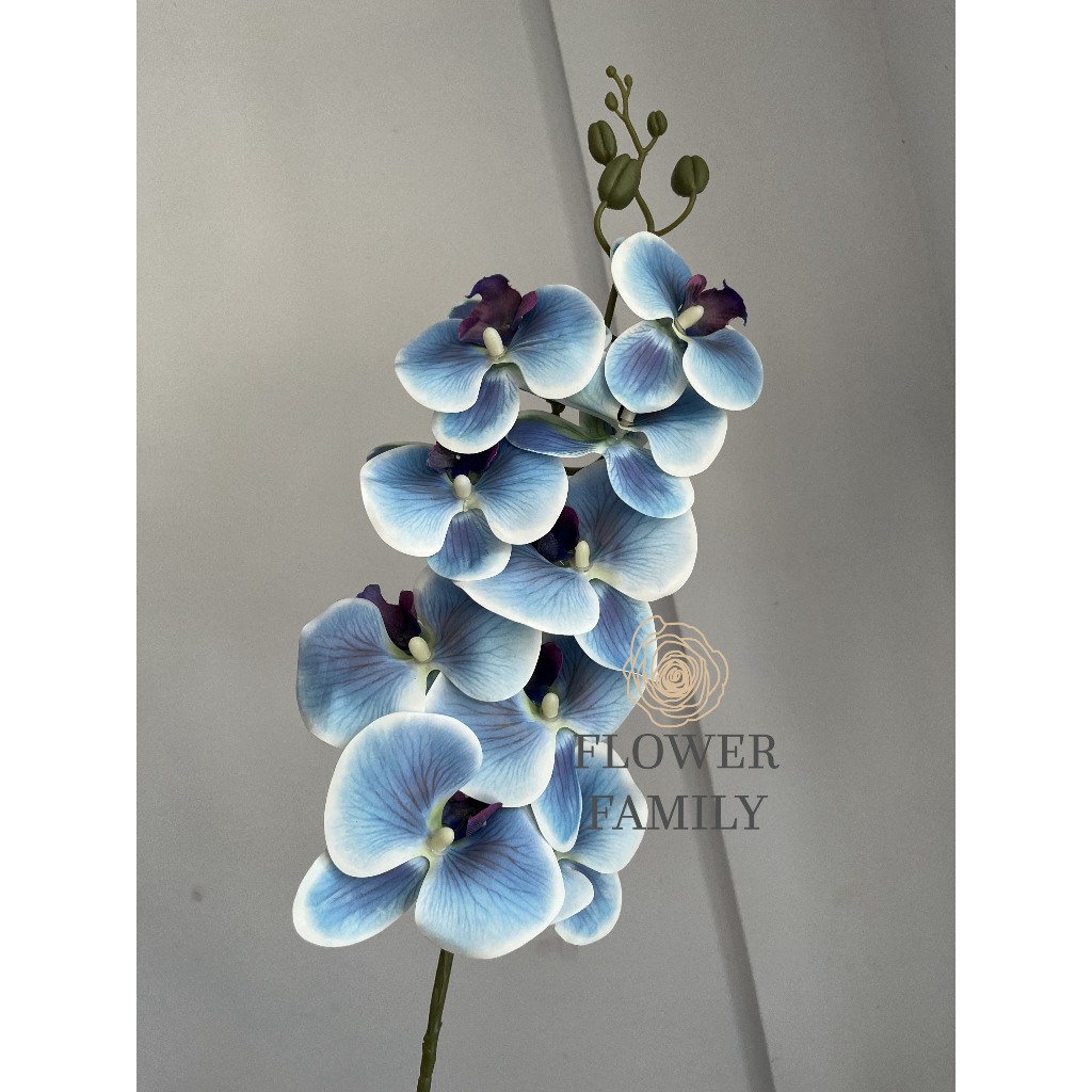 Jual Flower Family - Anggrek 9K Jumbo Artificial / Bunga Anggrek BESAR ...