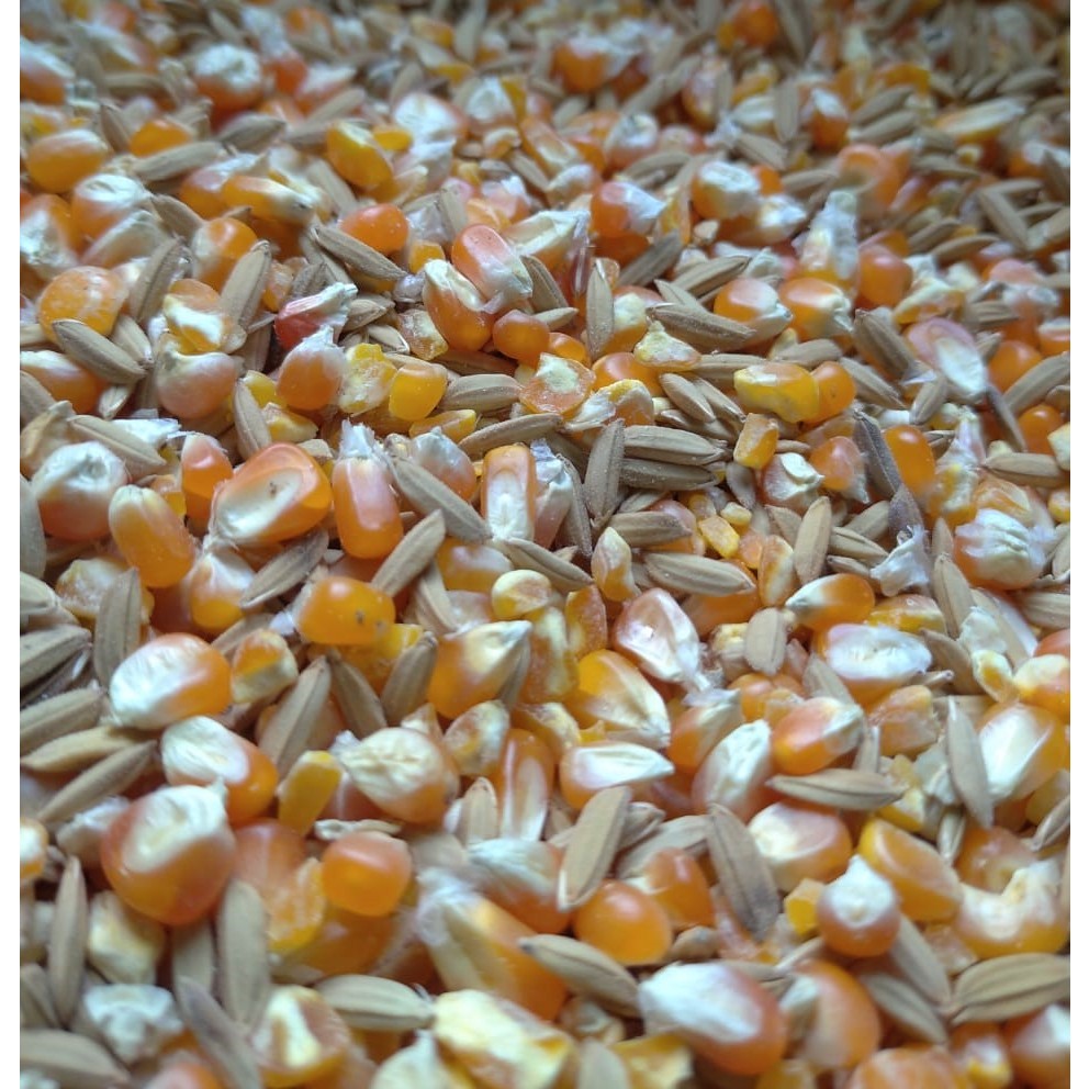 Jual Pakan Ayam dan Burung Jagung mix 3 in 1 pakan harian 1kg | Shopee ...