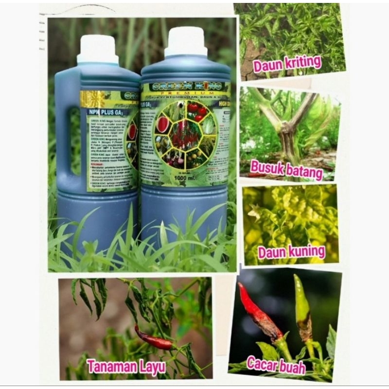Jual malang GREEN KING monster kesuburan mengatasi kriting, kuning ...