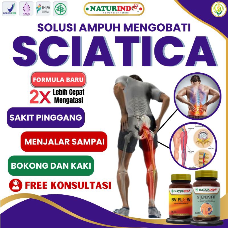 Jual Obat Sciatica Skiatika Saraf Kejepit Sakit Pinggang Menjalar ...
