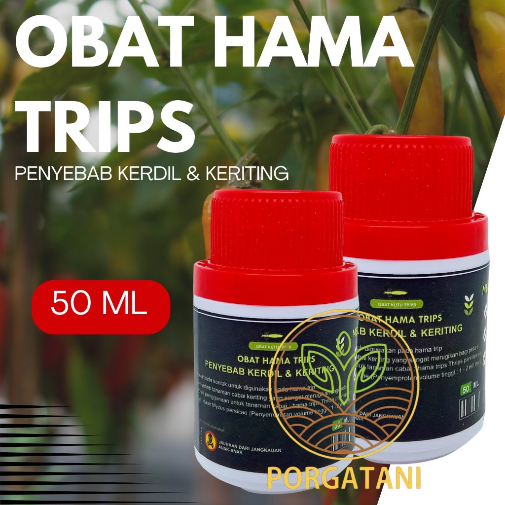 Jual Insektisida Obat Hama Cair Kontak pembasmi Wereng Kutu Daun trips ...