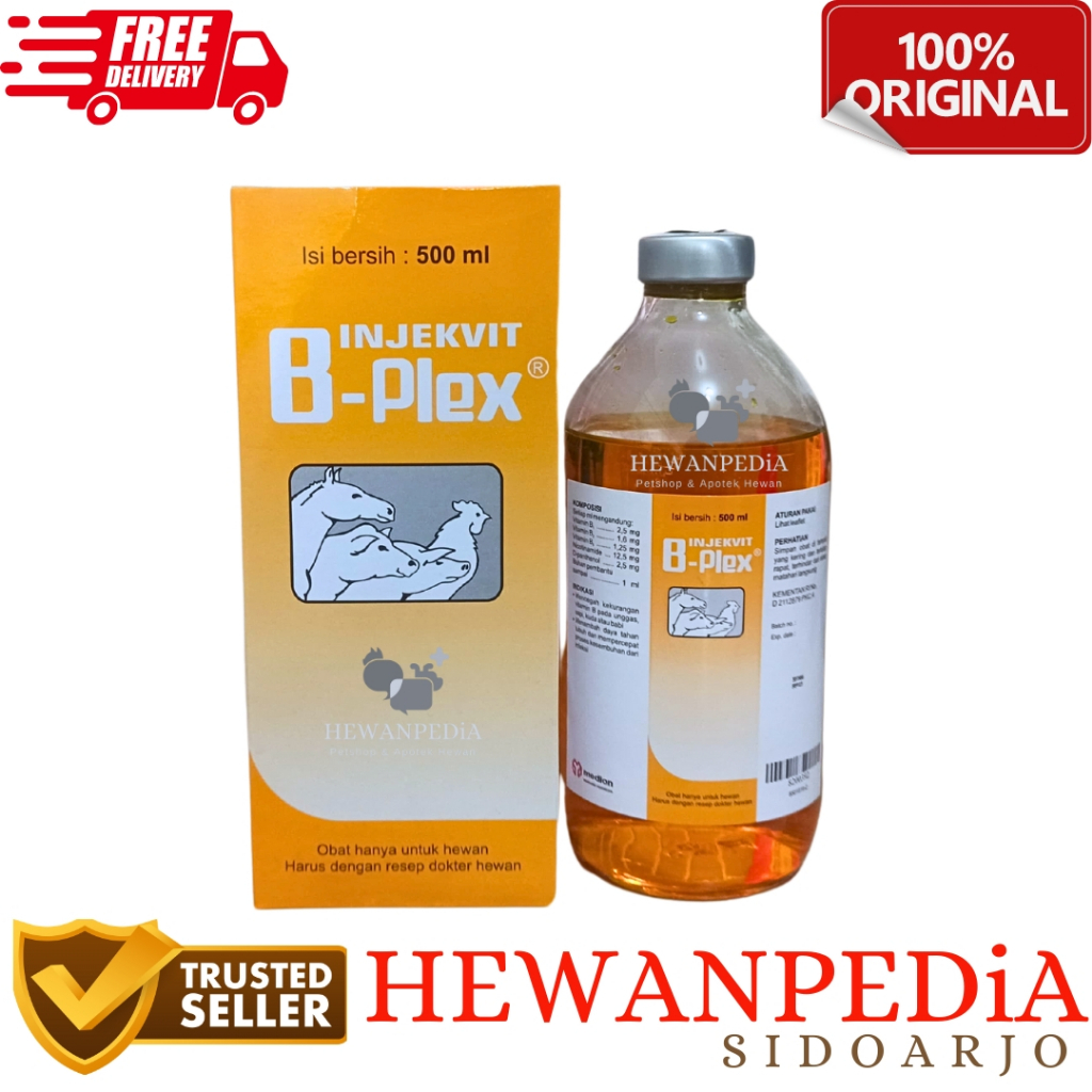 Jual INJEKVIT B PLEX B KOMPLEKS 500 ml MEDION Hewanpedia - Tingkatkan ...