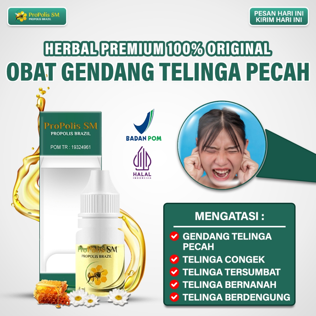 Jual Obat Gendang Telinga Pecah, Gendang Telinga Bocor, Infeksi Telinga, Congek, Telinga Sakit ...