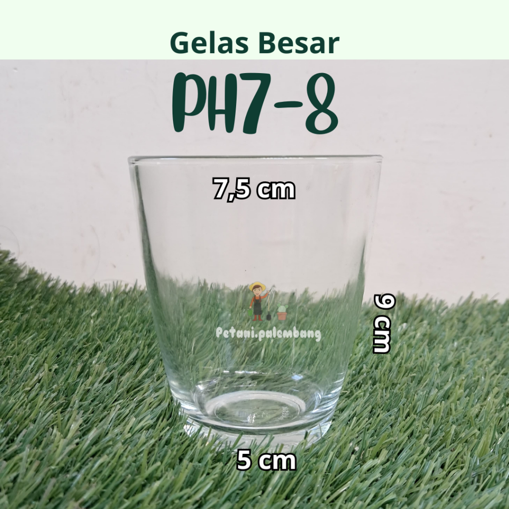 Jual Gelas Kaca Beling Glass Besar | Shopee Indonesia