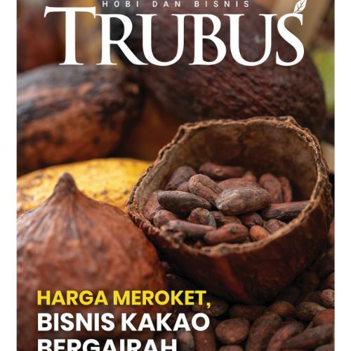 Jual MAJALAH TRUBUS EDISI 653 APRIL 2024 (HARGA MEROKET, BISNIS KAKAO BERGAIRAH) | Shopee Indonesia
