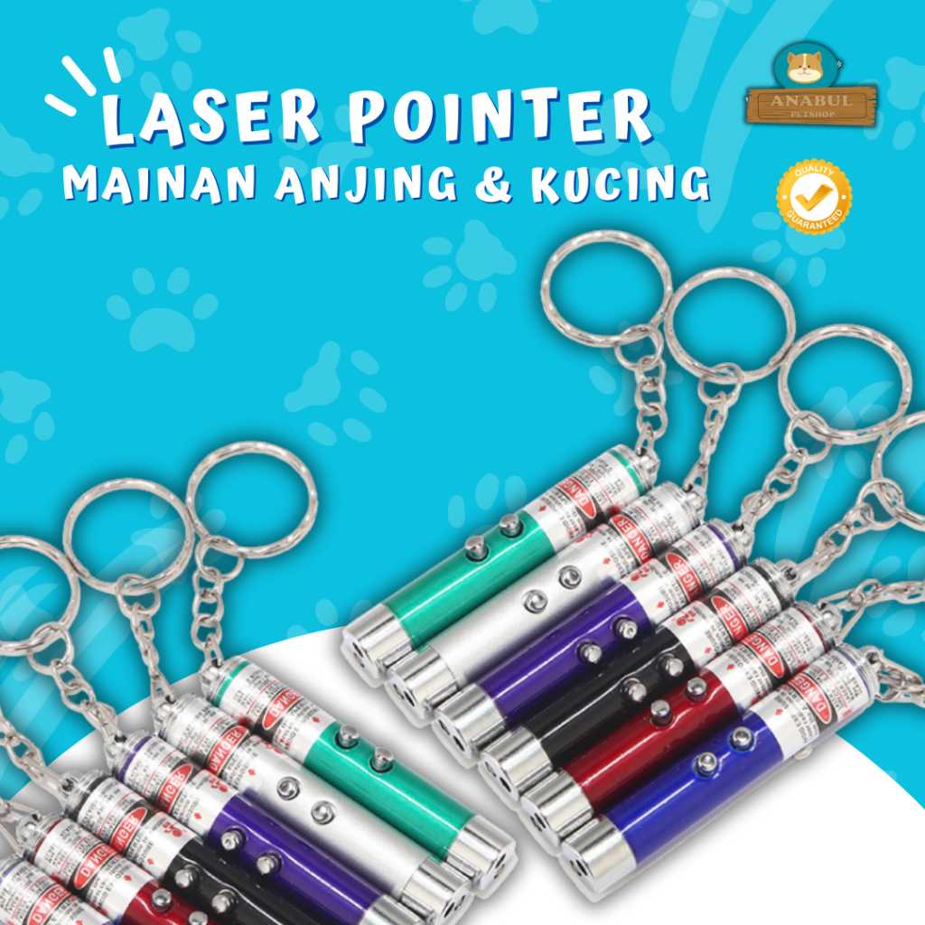 Jual Mainan Kucing Laser Pointer Kucing Anjing Gantungan Kunci Cat Toys ...