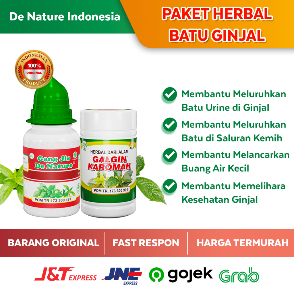 Jual Obat Nefrotik Akut Ampuh - Ginjal Bocor Akut & Kronis - Obat ...