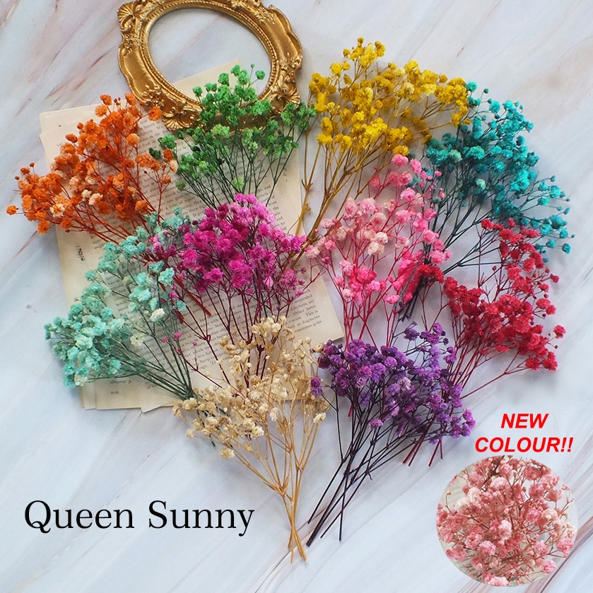 Jual Mini Dried Flower Baby's Breath dengan Tangkai Bunga Kering Asli ...