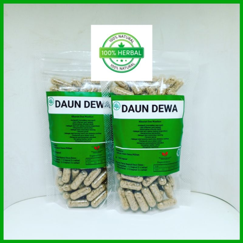 Jual herbal daun dewa isi 100 kapsul | Shopee Indonesia