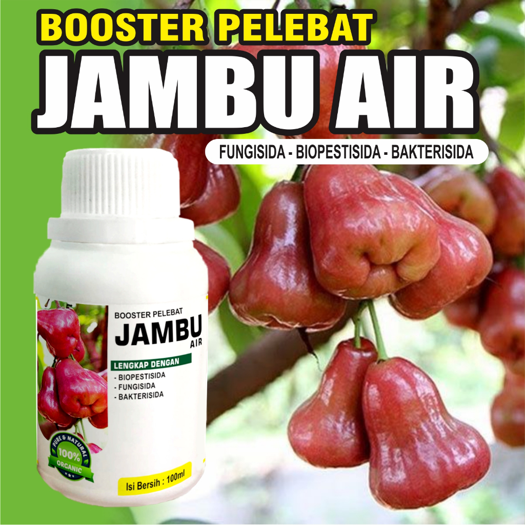Jual Pupuk Booster Jambu Air Pelebat Organik Cepat Berbuah Lebat 100ml murni fermentasi organik ...