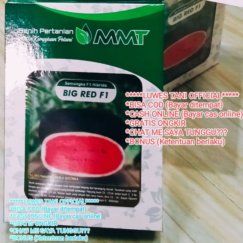 Jual Benih Semangka Madu Big Red F1 (Daging Merah mengkilat Manis ...