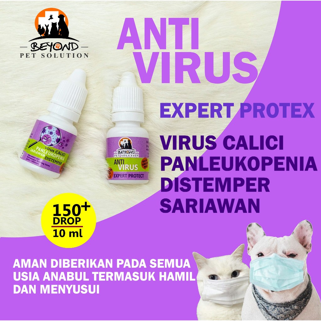 Jual Obat anti virus calici panleu sariawan distemper panleukopenia ...