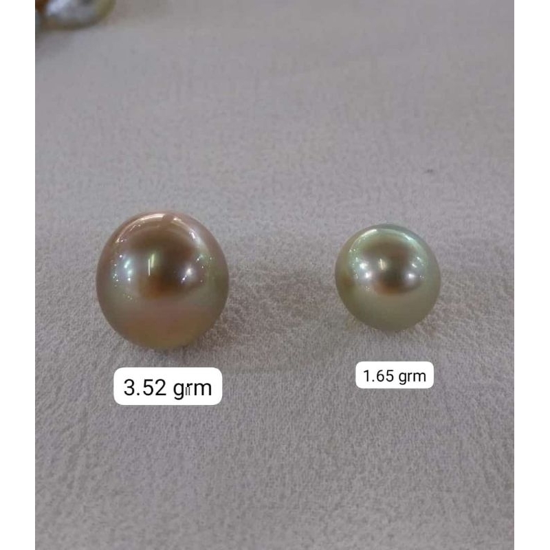 Jual Loose Pearl / Butiran Mutiara Air Laut Asli Warna Langka Natural ...