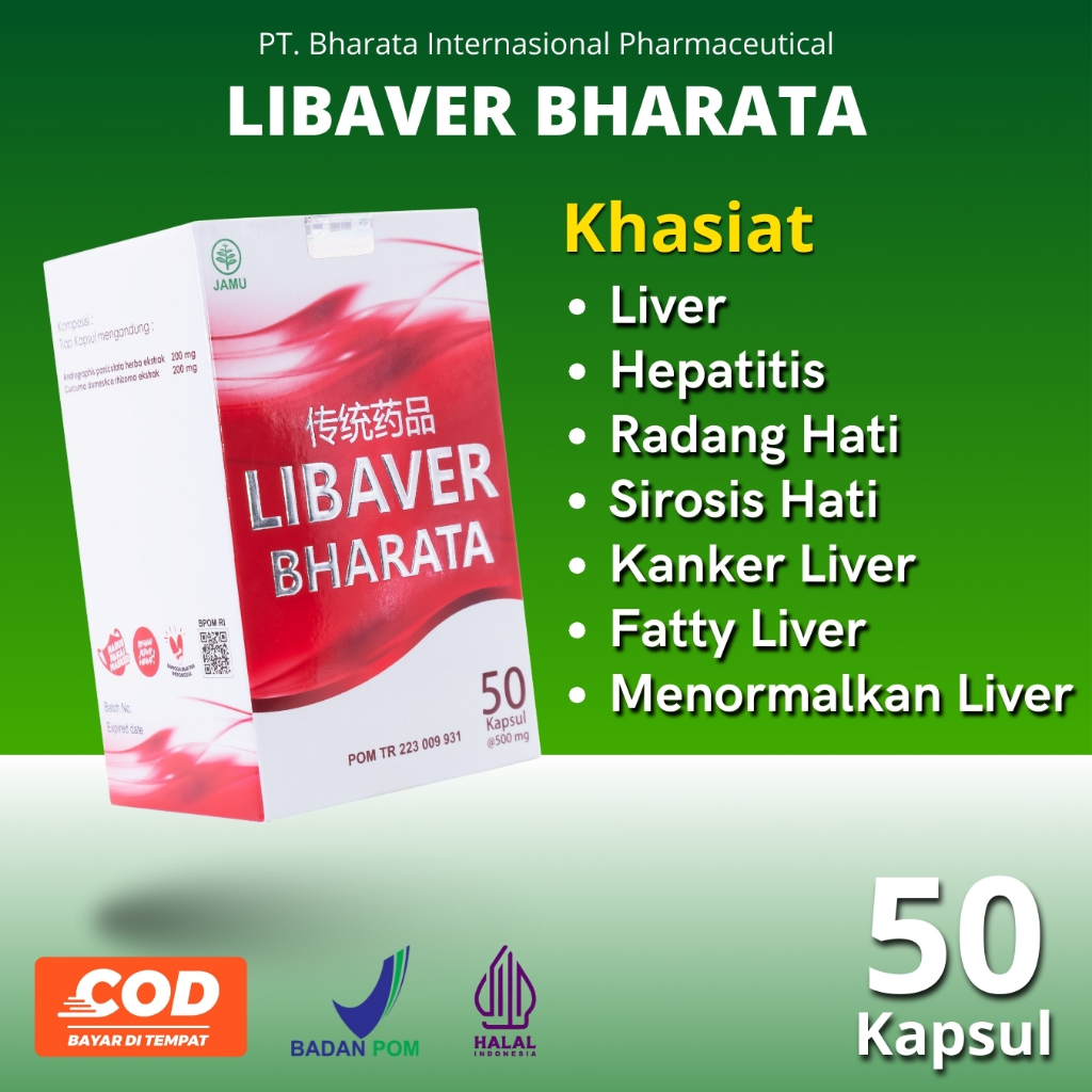 Jual Obat Liver Hepatitis Radang Hati Penyakit kuning Herbal Libaver ...