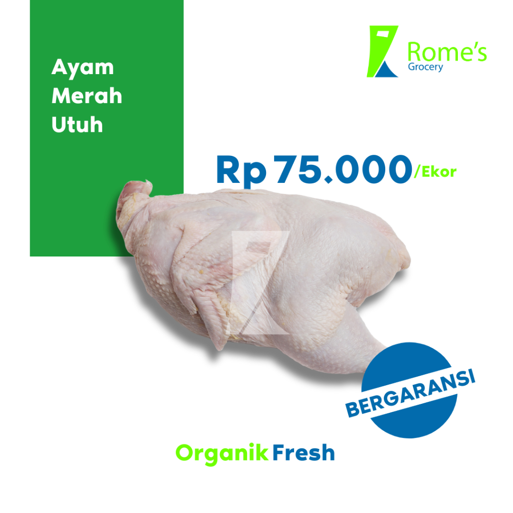 Jual Ayam Merah Utuh | 1,5 - 2 kg | Fresh&Organik | Bergaransi | Rome's Grocery | Shopee Indonesia